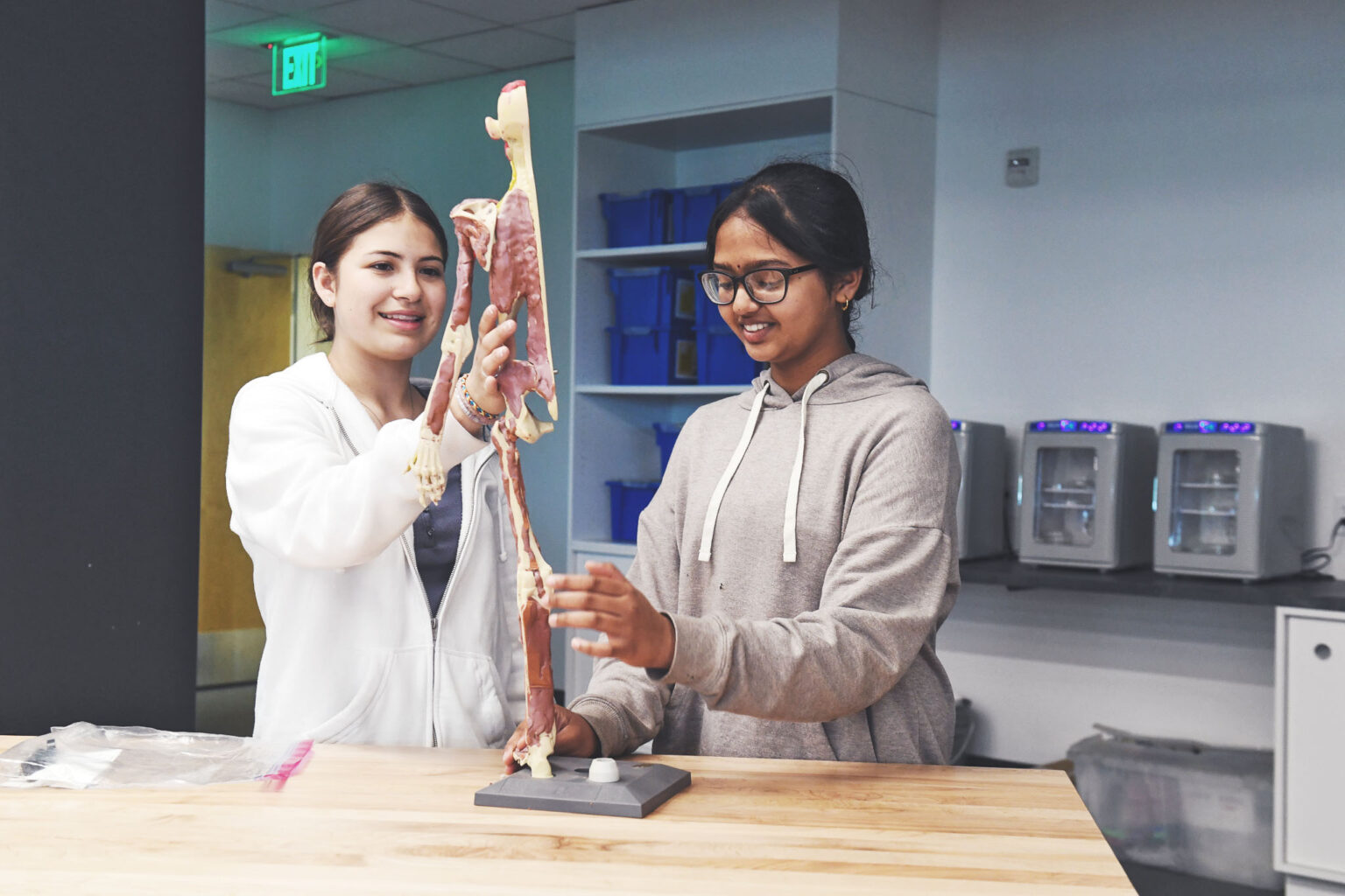 Educator Professional Learning: Equipping Educators, Empowering Students - TGR Foundation